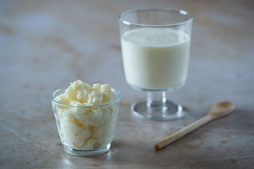 Cow's Milk Kefir | HotCooking