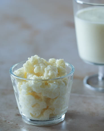 Goat's Milk Kefir | HotCooking